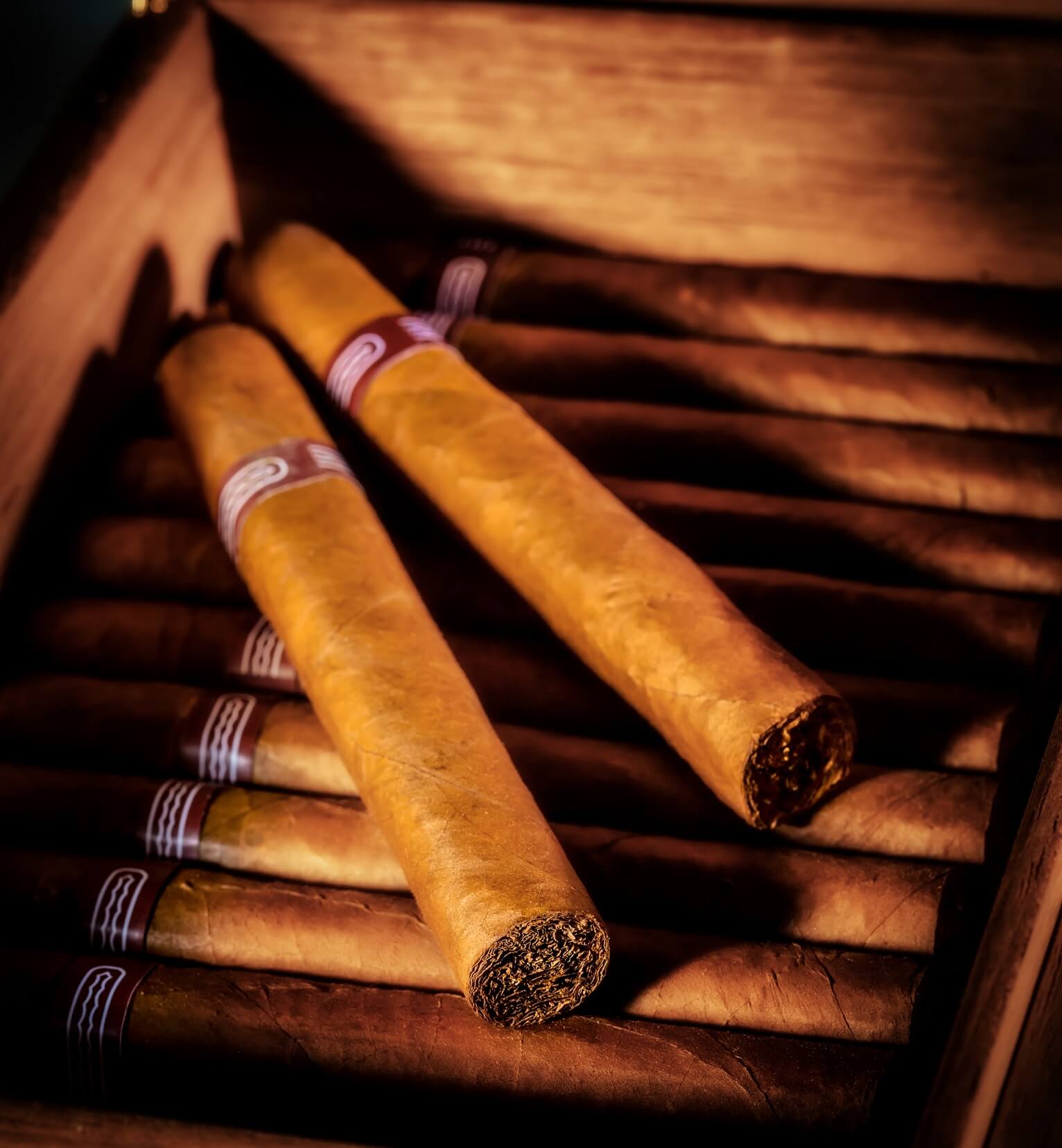 Die besten milden Zigarren - Empfehlungen von World of Smoke